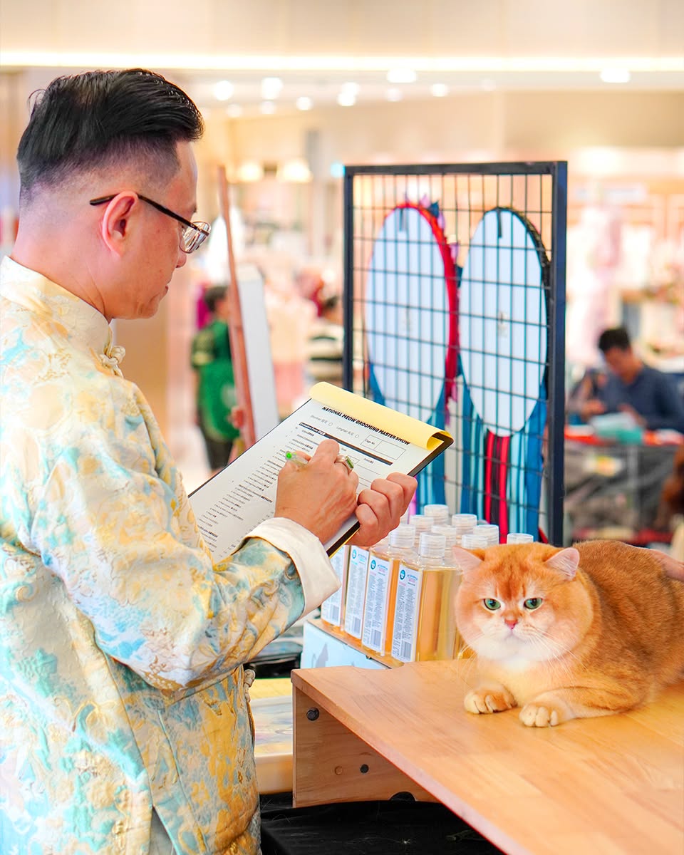 Meow Fiesta 2026: National MEOW Championship Highlights | Lalaport ...